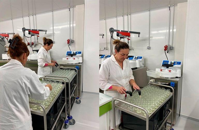 Estudio de caso Plant & Palm Lab | RAYPA